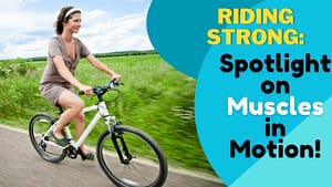 When cycling what muscles are used: Anatomy & Exercise Insights